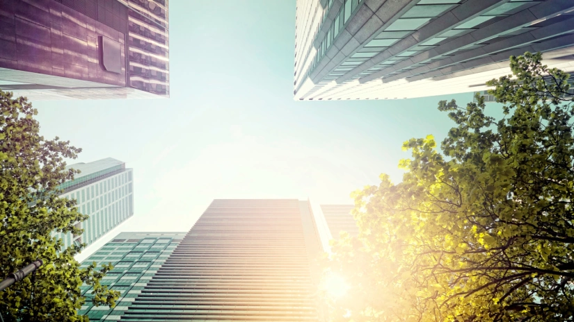 Revetas Capital secures three mandates from Korean companies | NEWS ...